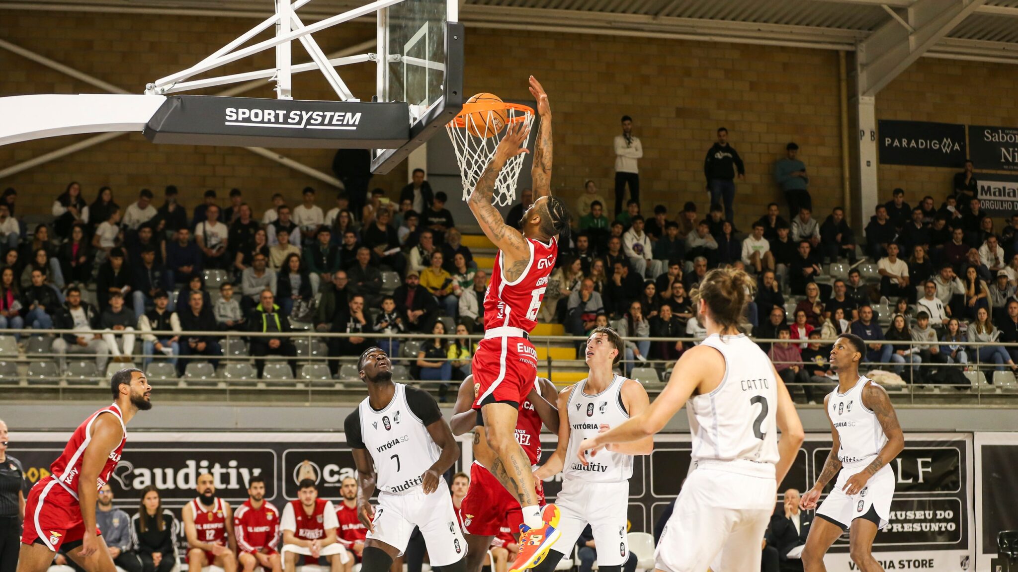 Campeonato masculino arranca este fim-de-semana - Basquetebol